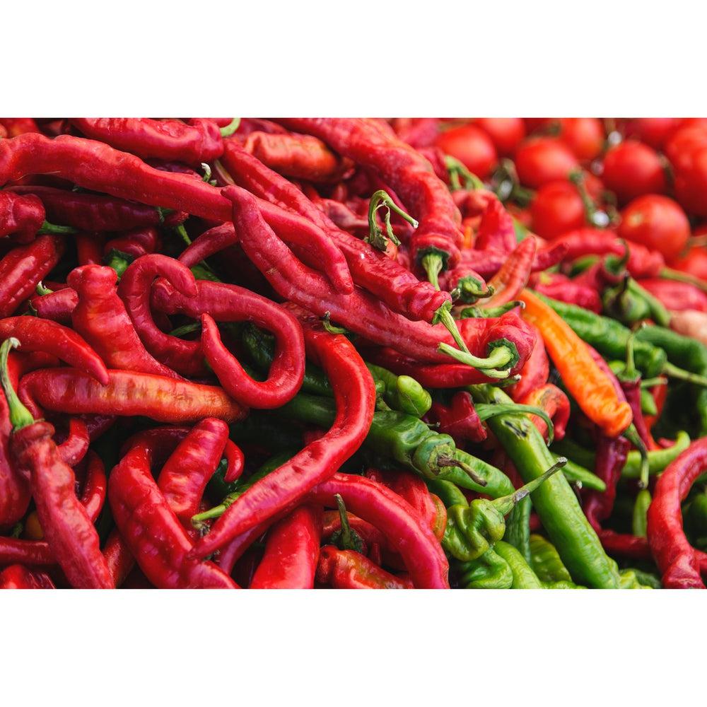 Froggit Foods Sauce Habanero Hot Chilli– Shop4Deals